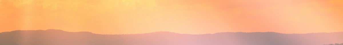 Caravan Electric Brake | Caravan Brakes & Hubs – Camec