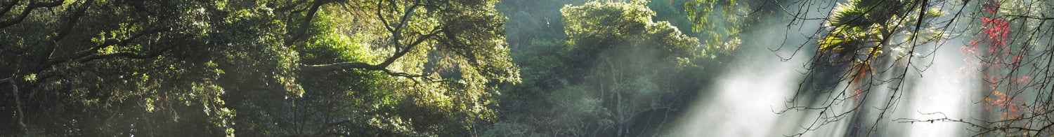 Caravan Electrical Connectors, Sockets & Switches – Camec